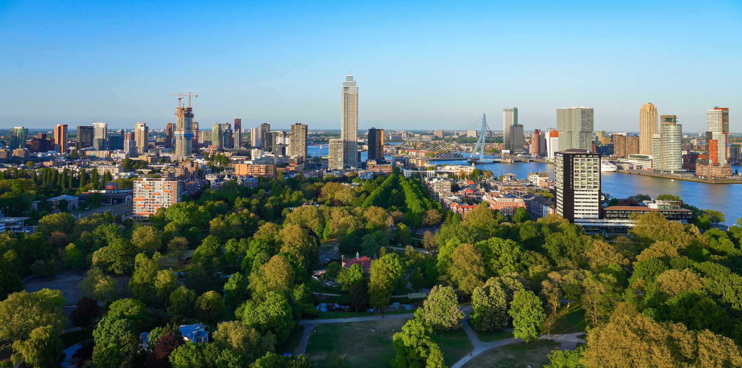 Navigating tomorrow: the evolution of the Dutch start-up ecosystem | IQ ...