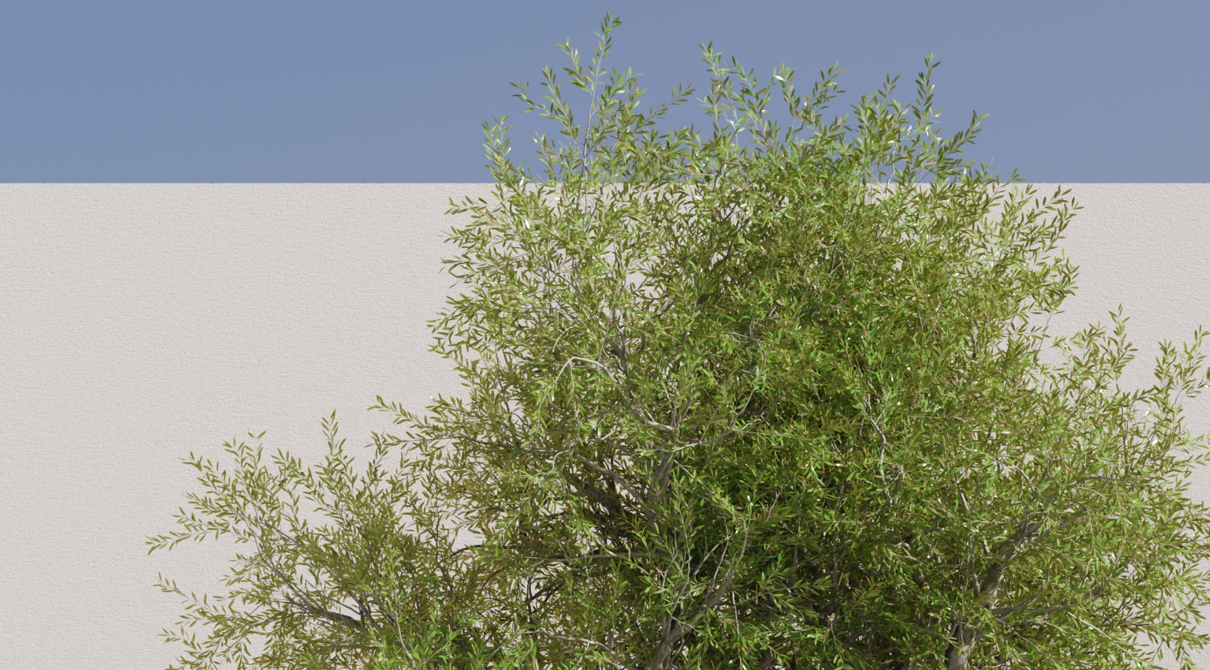 The fund manager’s guide to side letters - IQEQ New Zealand