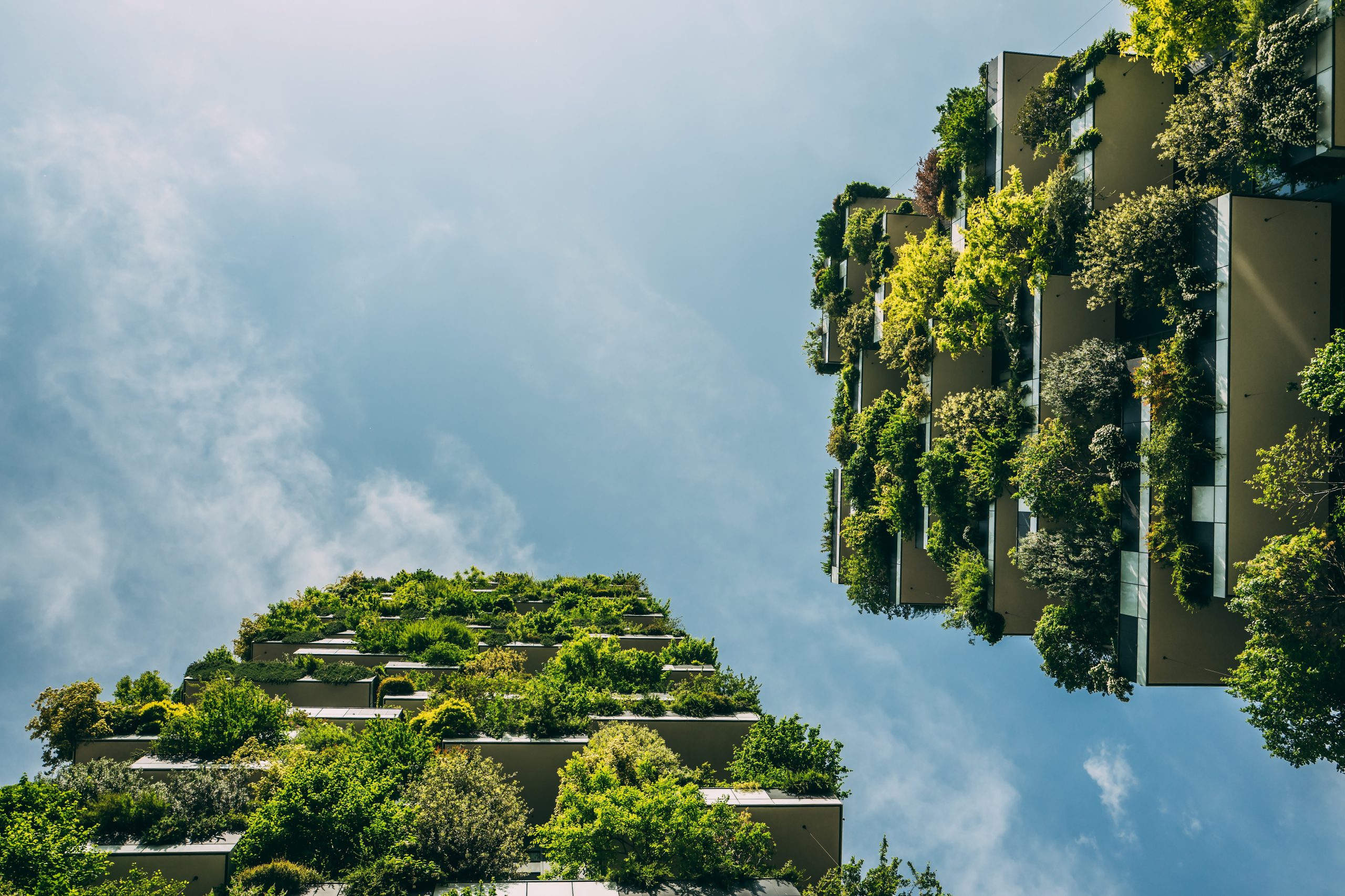 IQ-EQ partners with Eden Reforestation Projects - IQ-EQ